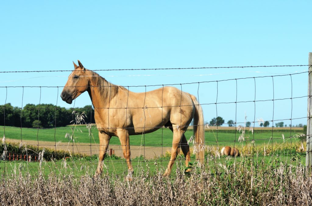 Agriculture - Davis Wire